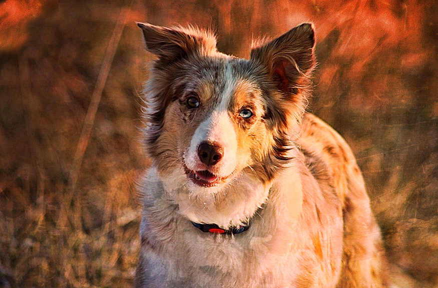 NASI Emeryci – LSD Farm