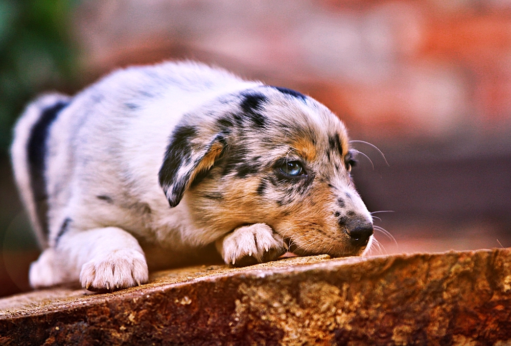 Co nowego u nas – LSD Farm